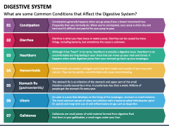 Digestive System PowerPoint and Google Slides Template - PPT Slides