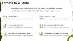 Free - Wildlife Presentation for PowerPoint and Google Slides - PPT Slides