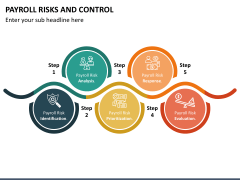 Payroll Risks and Control PowerPoint Template - PPT Slides