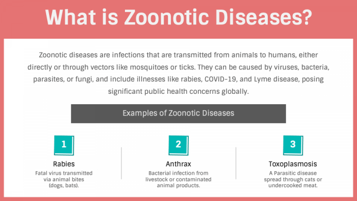 Zoonotic Diseases PowerPoint and Google Slides Template - PPT Slides