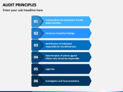 Audit Principles PowerPoint and Google Slides Template - PPT Slides