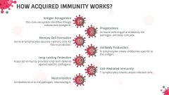 Acquired Immunity PowerPoint and Google Slides Template - PPT Slides