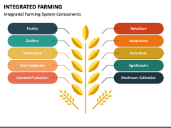 Integrated Farming PowerPoint and Google Slides Template - PPT Slides