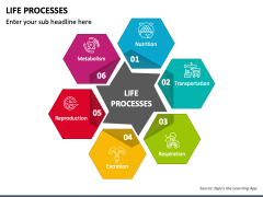Life Processes PowerPoint and Google Slides Template - PPT Slides