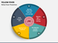 Yellow Fever PowerPoint and Google Slides Template - PPT Slides