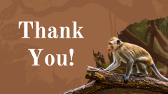 Free - Monkey Presentation for PowerPoint and Google Slides - PPT Slides