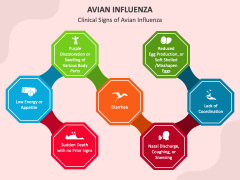 Avian Influenza PowerPoint and Google Slides Template - PPT Slides