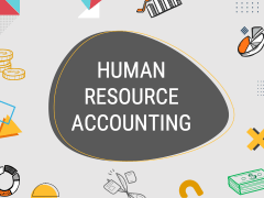 Human Resource Accounting PowerPoint and Google Slides Template - PPT Slides