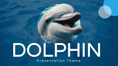 Free - Dolphin Presentation for PowerPoint and Google Slides - PPT Slides