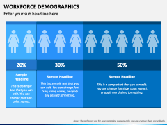 Workforce Demographics PowerPoint and Google Slides Template - PPT Slides