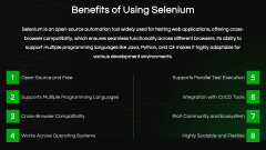 Selenium Testing PowerPoint and Google Slides Template - PPT Slides