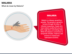 Free Malaria PowerPoint and Google Slides Template - PPT Slides