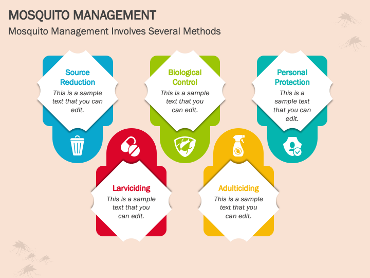 Mosquito Management PowerPoint and Google Slides Template - PPT Slides