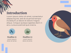 Free - National Bird Day PowerPoint Template and Google Slides Theme