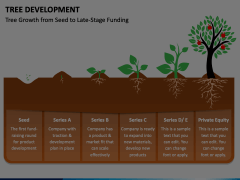 Tree Development PowerPoint and Google Slides Template - PPT Slides
