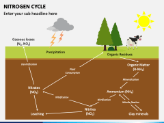Nitrogen Cycle PowerPoint and Google Slides Template - PPT Slides