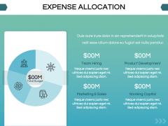 Budget Proposal PowerPoint and Google Slides Template - PPT Slides