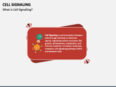 Cell Signaling PowerPoint and Google Slides Template - PPT Slides