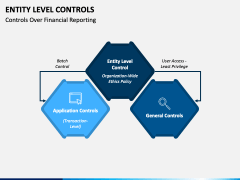 Entity Level Controls PowerPoint and Google Slides Template - PPT Slides