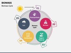 Biomass PowerPoint and Google Slides Template - PPT Slides