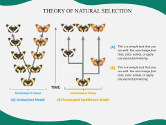 Free - Darwin Day PowerPoint Template and Google Slides Theme