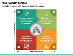 Profitability Matrix PowerPoint and Google Slides Template - PPT Slides