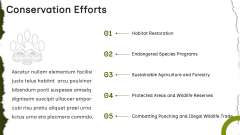 Free - Wildlife Presentation for PowerPoint and Google Slides - PPT Slides