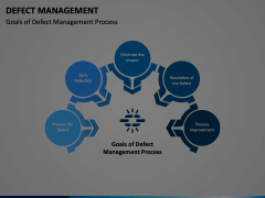 Defect Management PowerPoint and Google Slides Template - PPT Slides