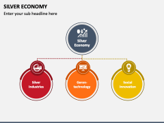 Silver Economy PowerPoint and Google Slides Template - PPT Slides