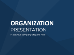Organization Infographic for PowerPoint and Google Slides - PPT Slides