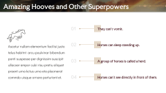 Free - Horse Presentation for PowerPoint and Google Slides - PPT Slides