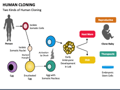 Human Cloning PowerPoint Template - PPT Slides