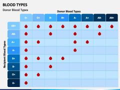 Blood Types PowerPoint and Google Slides Template - PPT Slides