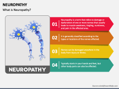 Neuropathy PowerPoint and Google Slides Template - PPT Slides