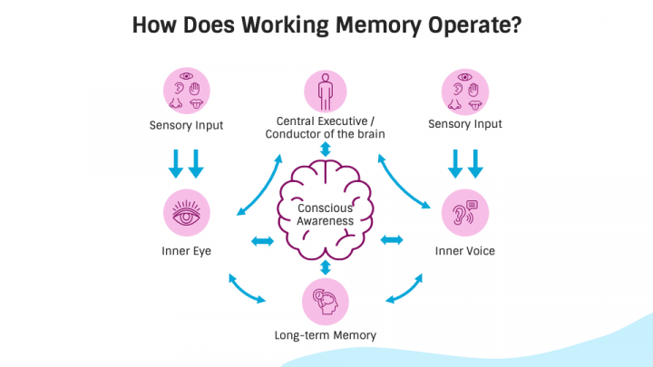 Working Memory PowerPoint and Google Slides Template - PPT Slides