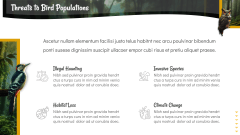 Free - Birds Presentation for PowerPoint and Google Slides - PPT Slides