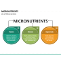 Function of Nutrients PowerPoint Template - PPT Slides | SketchBubble