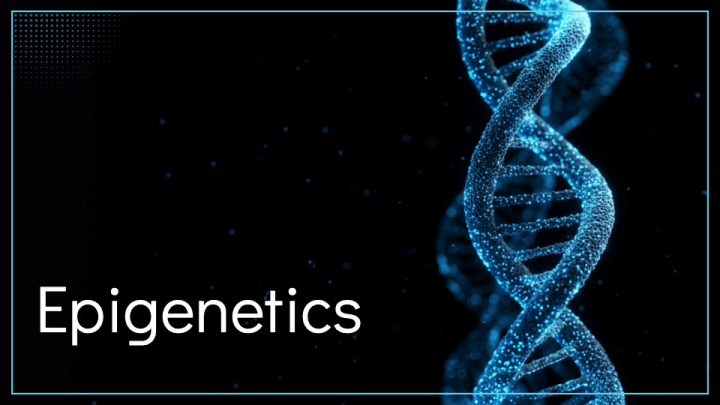 Epigenetics PowerPoint and Google Slides Template - PPT Slides