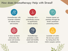 Aromatherapy PowerPoint and Google Slides Template - PPT Slides