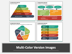 Accreditation Process PowerPoint and Google Slides Template - PPT Slides