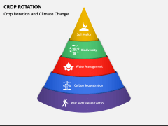 Crop Rotation PowerPoint and Google Slides Template - PPT Slides