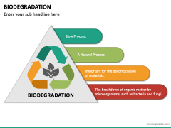 Biodegradation PowerPoint and Google Slides Template - PPT Slides