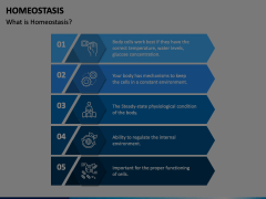 Homeostasis PowerPoint and Google Slides Template - PPT Slides