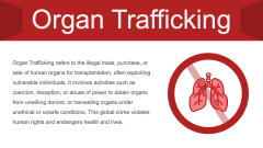 Organ Trafficking PowerPoint and Google Slides Template - PPT Slides