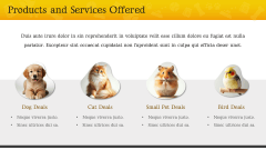 Pet Store Business Plan PowerPoint and Google Slides Template - PPT Slides