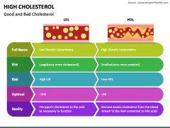 High Cholesterol PowerPoint and Google Slides Template - PPT Slides
