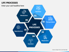 Life Processes PowerPoint and Google Slides Template - PPT Slides