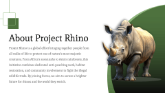 Free - Project Rhino PowerPoint and Google Slides Template - PPT Slides