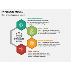 Hyper Care Model PowerPoint and Google Slides Template - PPT Slides