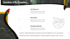 Free - Birds Presentation for PowerPoint and Google Slides - PPT Slides